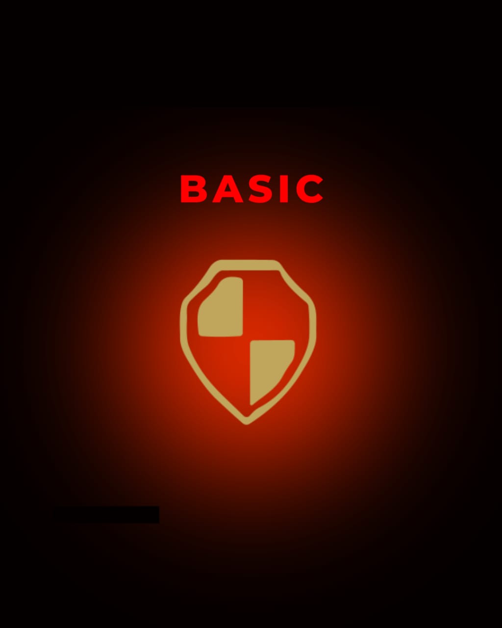 BASIC AUDIT – Trivon
